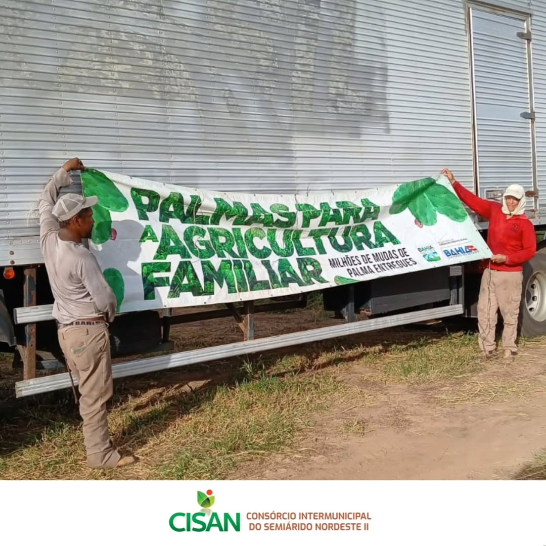 Entrega de 80 mil raquetes de palma em Euclides da Cunha - Consórcio ...
